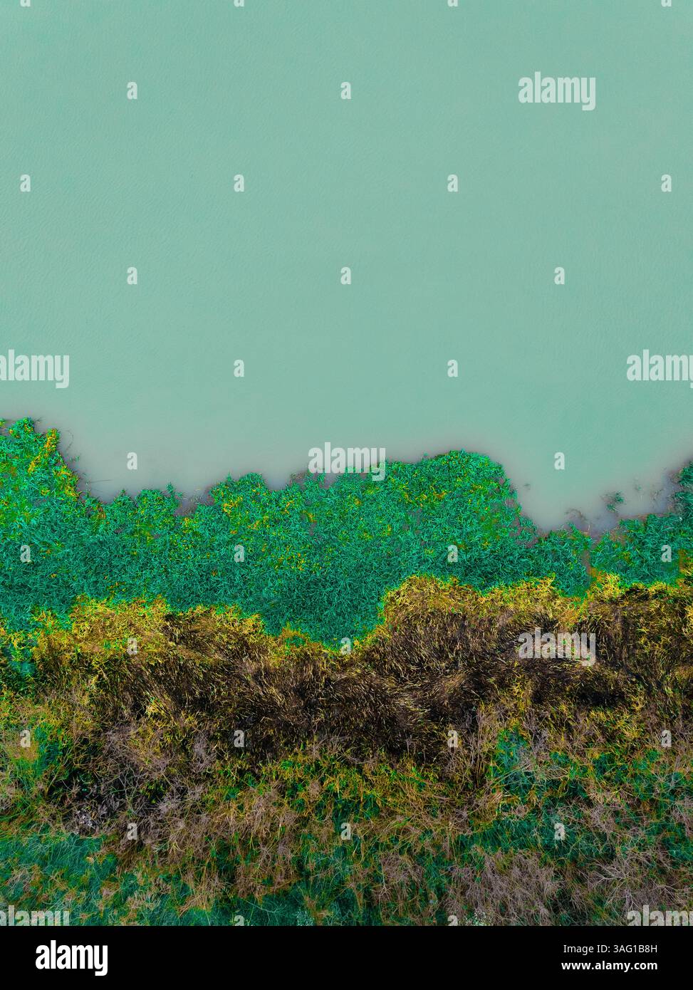 Overhead shot showcasing nature’s beauty for Earth Day. Earth Day ...