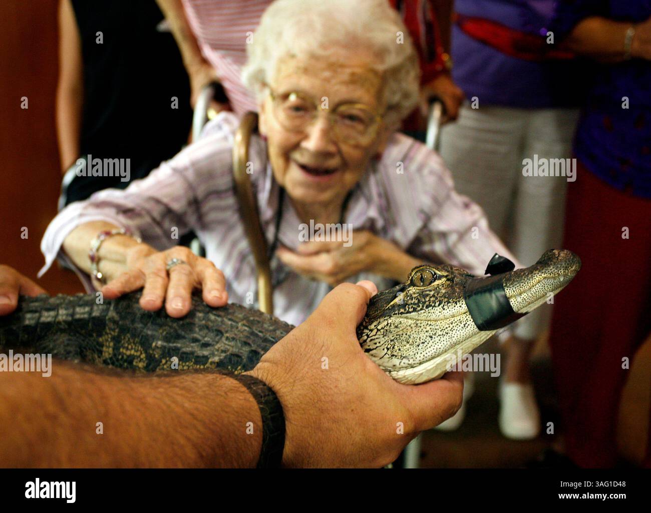 CAPTION: (Tarpon Springs 6/23/07) Kent Vliet, Ph.D., introduces 99-year ...