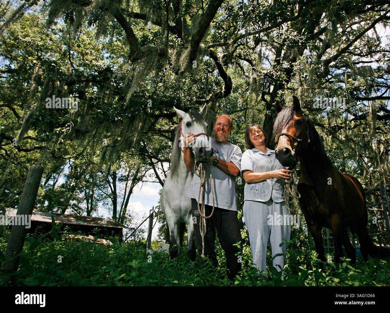 Everyone can serve hi-res stock photography and images - Alamy