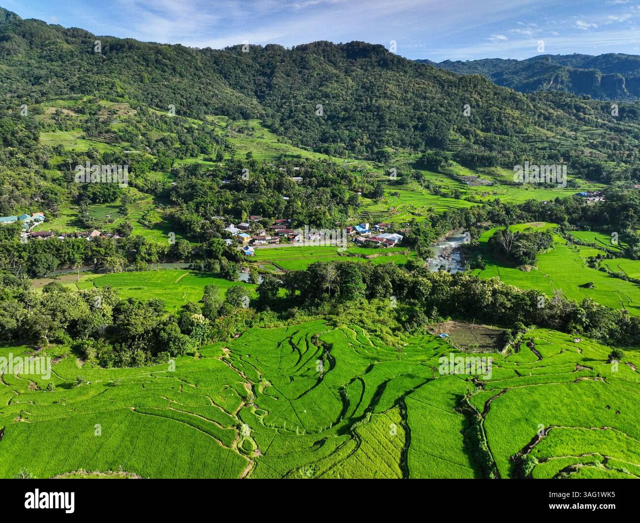Aerial view of the countryside in the middle of terraced rice fields on ...