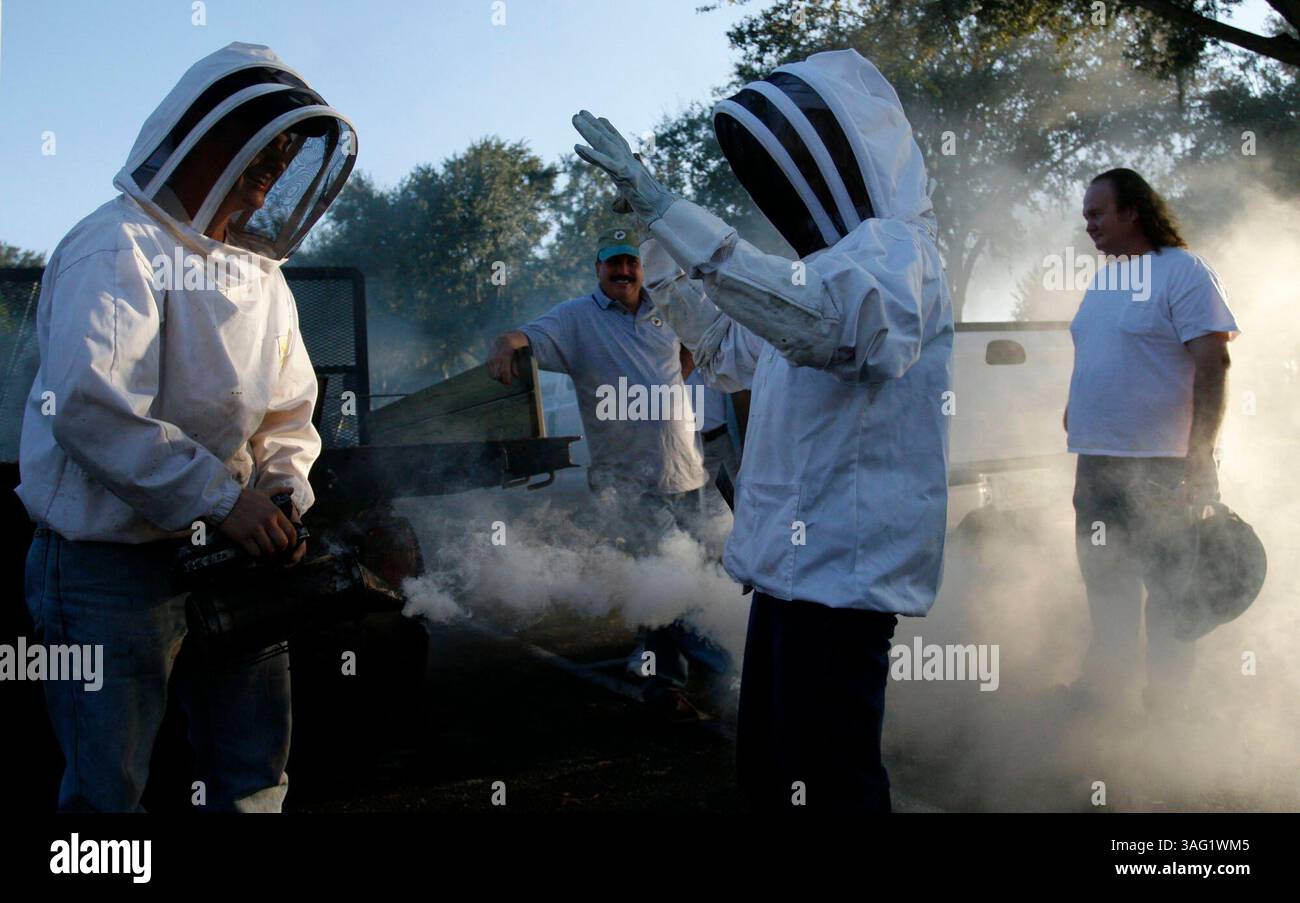 Back look on beekeeper hi-res stock photography and images - Alamy