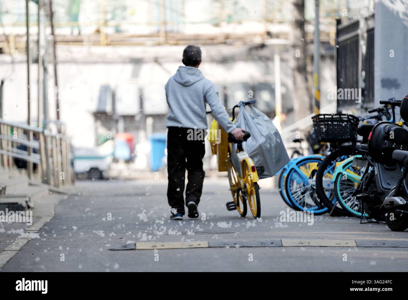 Beijing,China.6th April 2025. A citizen walks along a sidewalk covered ...