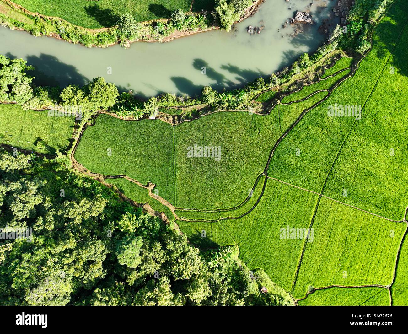 aerial view of terraced rice fields on a mountain slope with a rocky ...