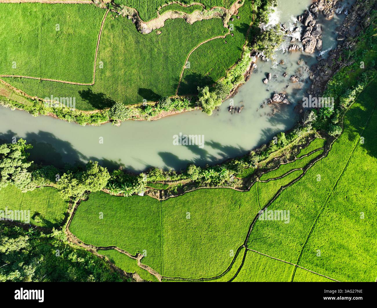 aerial view of terraced rice fields on a mountain slope with a rocky ...