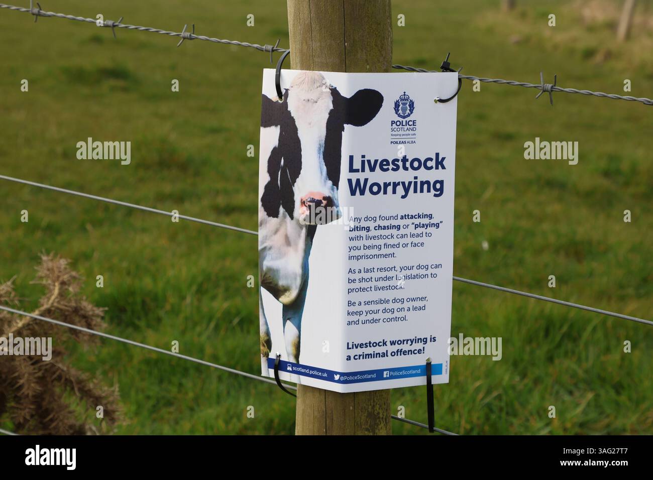 Livestock worrying sign scotland hi-res stock photography and images ...