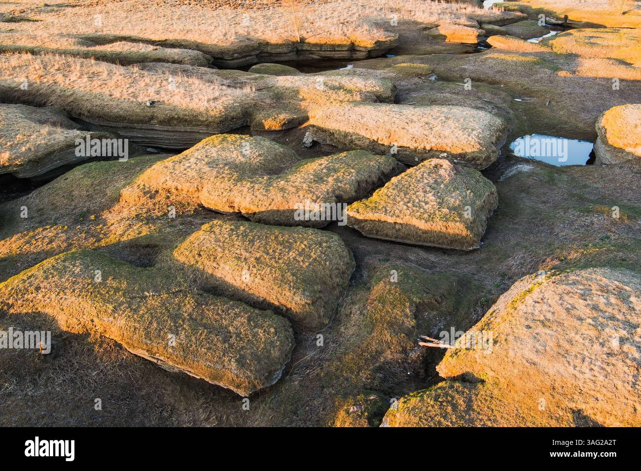 Golden hour illuminates a rugged karst landscape with moss-covered ...