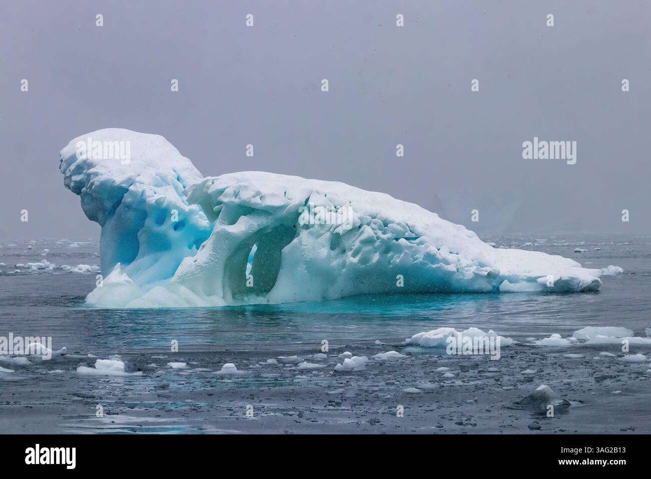Sculptured Iceberg floating near the Antarctic Peninsula. Blue ice ...