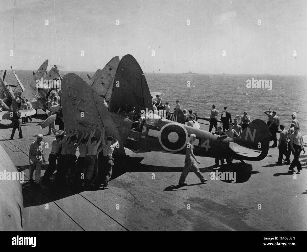 Insect like a plane hi-res stock photography and images - Alamy