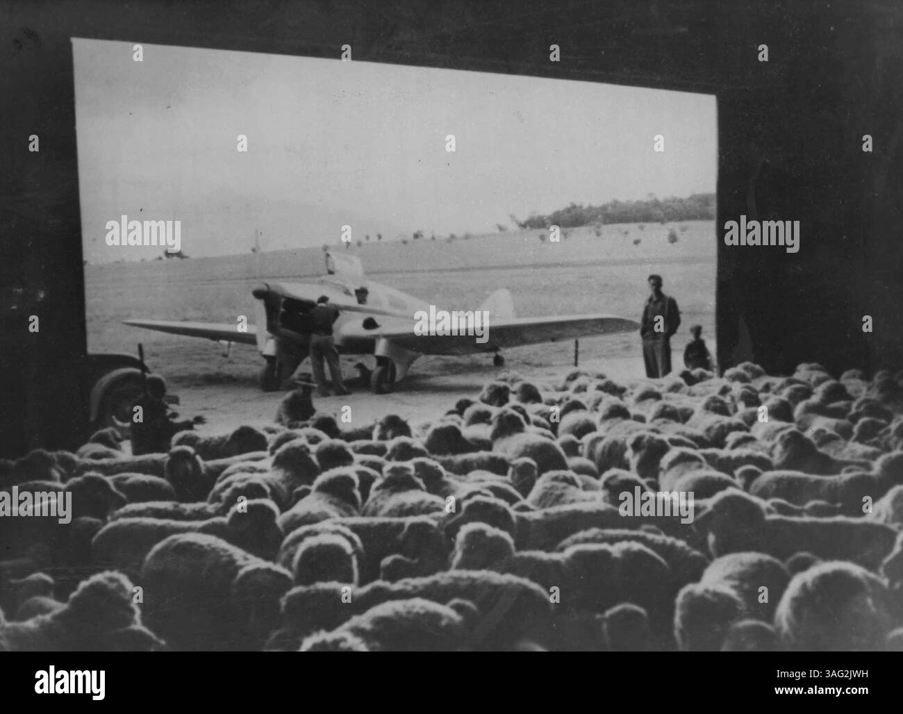 When shearing "outranked" aviation at the Butler Air Transport ...