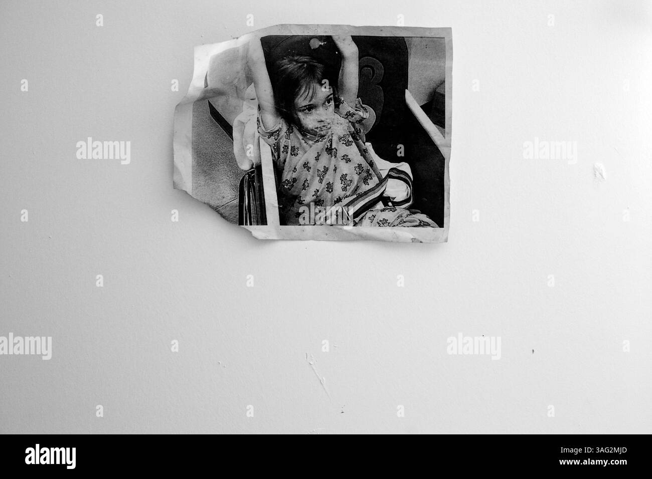 Feb 03, 2008 - Plant City, Florida, USA - A picture of Dani Lierow from ...