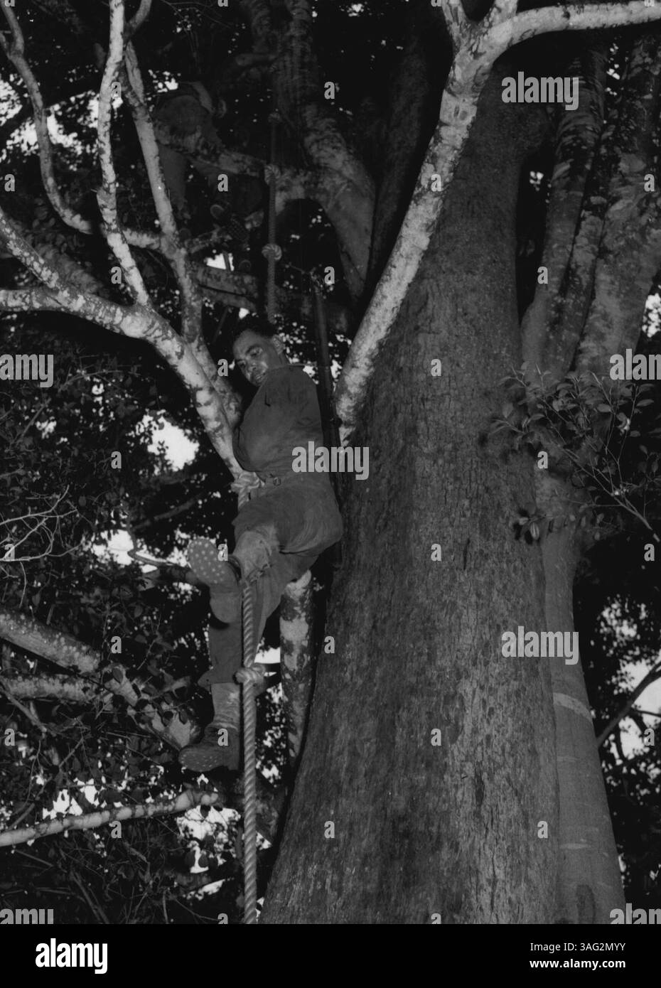 Pte e wharton hi-res stock photography and images - Alamy