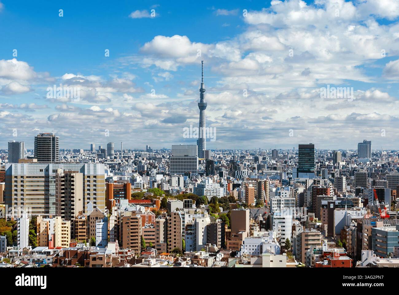View of Tokyo modern skyline with the iconic Skytree tower Stock Photo ...