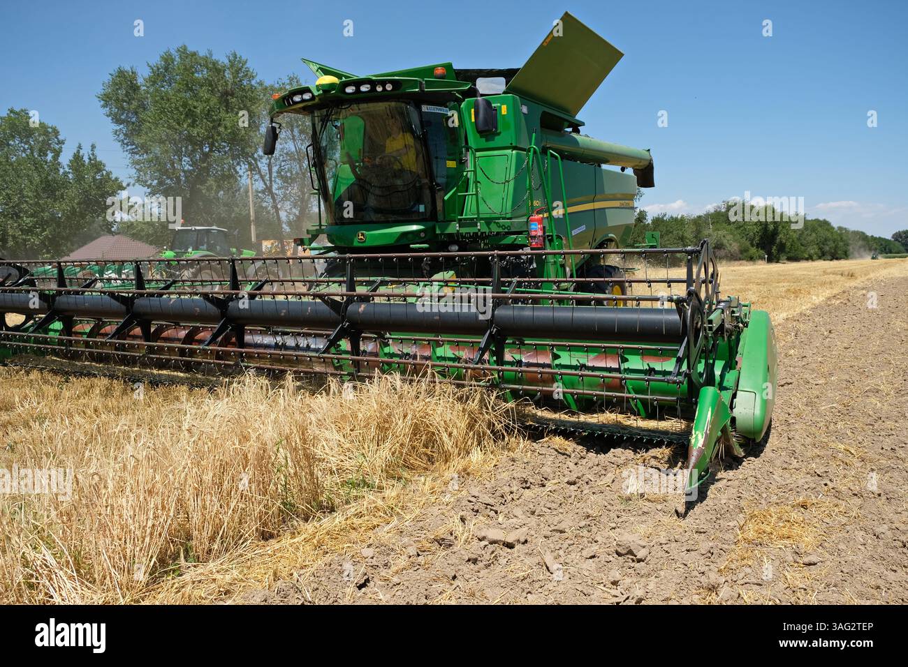 Harvesting wheat in a field Stock Photo - Alamy