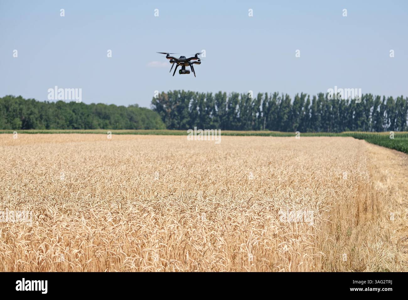 Drone over wheat field hi-res stock photography and images - Alamy