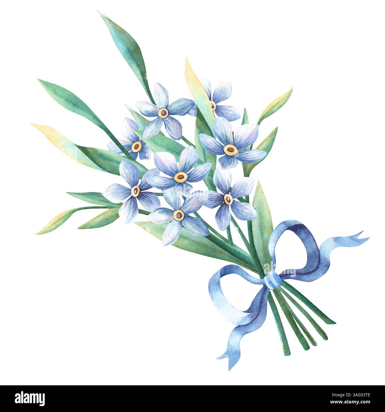 Forget-me-not bouquet with blue ribbon bow. Elegant watercolor ...
