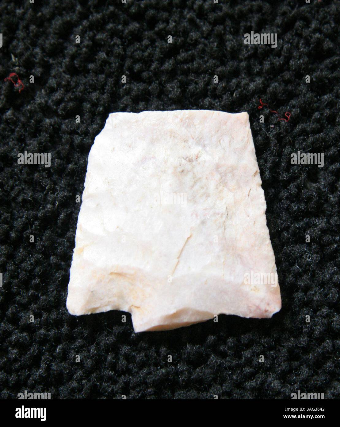 PT 310224 REPO spear.Nine-year-old Alec Burchick of New Port Richey was ...