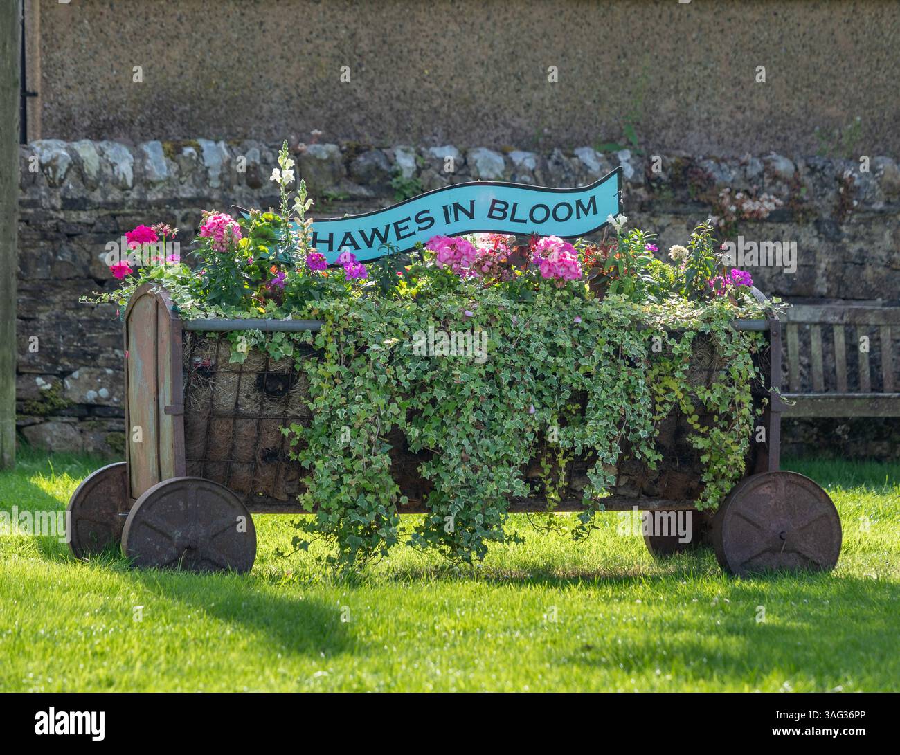 Vintage agricultural trough repurposed as a planter, with pink summer ...