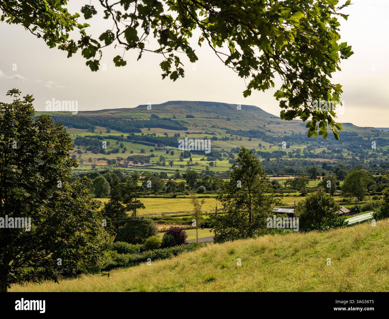 View across the Yorkshire Dales towards the Height of Hazely seen from ...