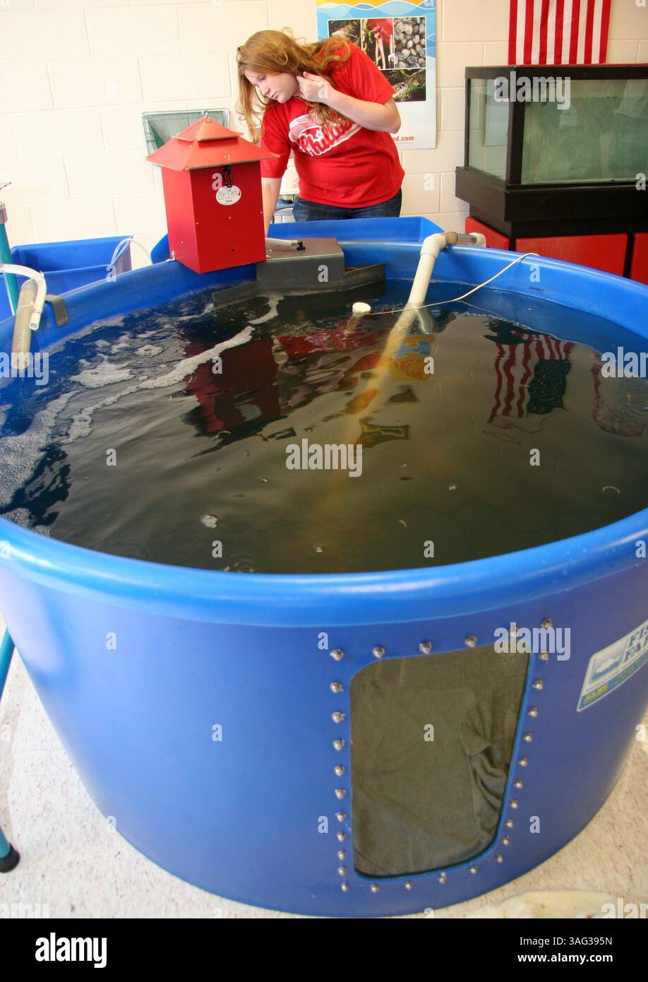 PT 312782 REPO fish 2.By - Michele Miller.Jessica Balderstone, 14 ...