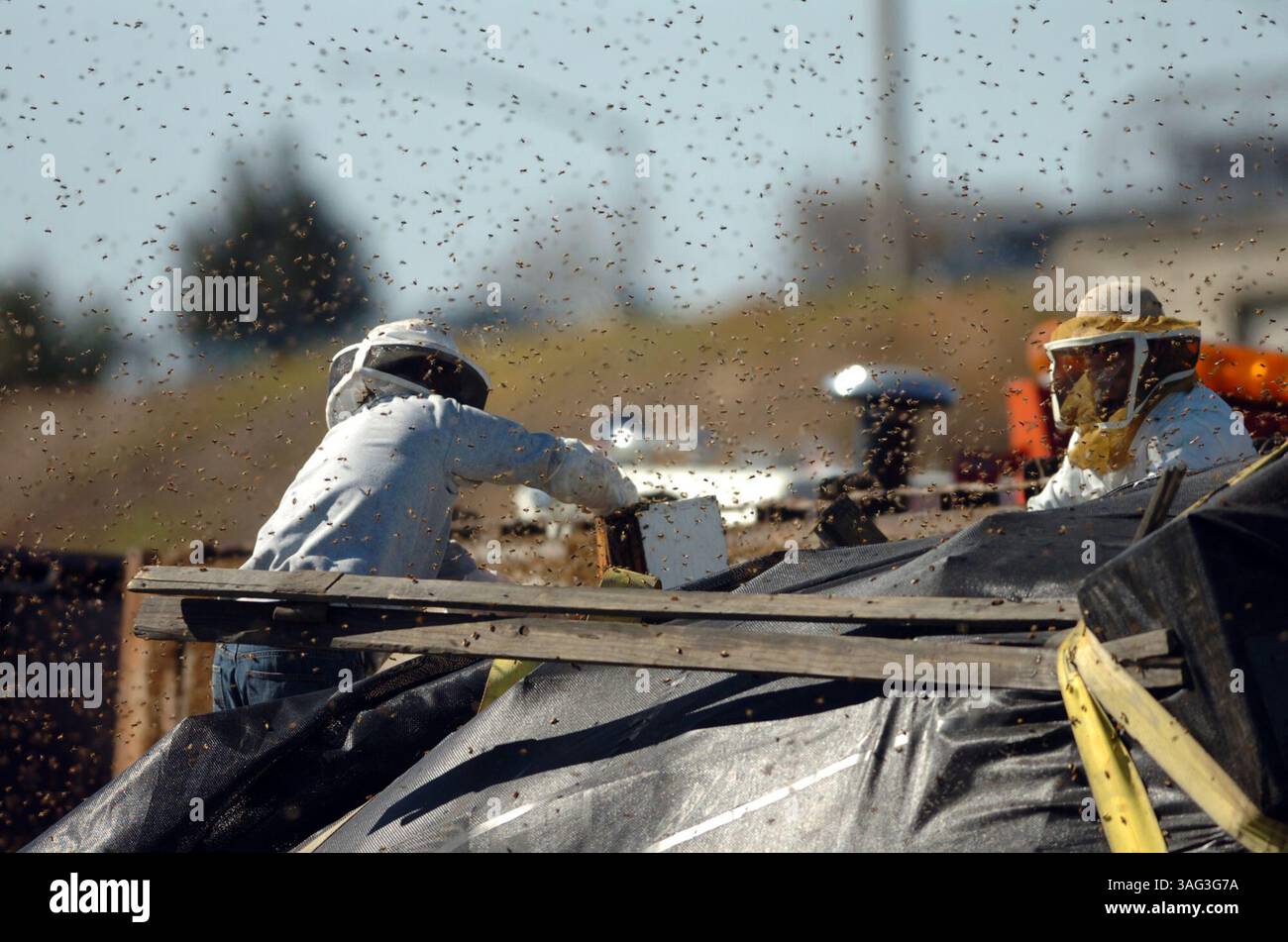 Mar 16, 2008 - Sacramento, California, USA - Clean up crews tackle a ...