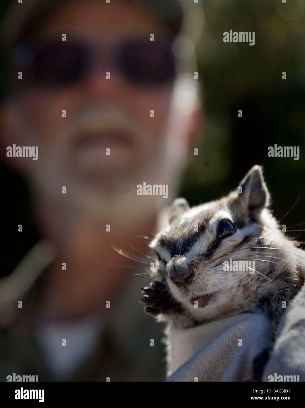 Aug 12, 2008 - Sacramento, California, United States - Retired U.C ...