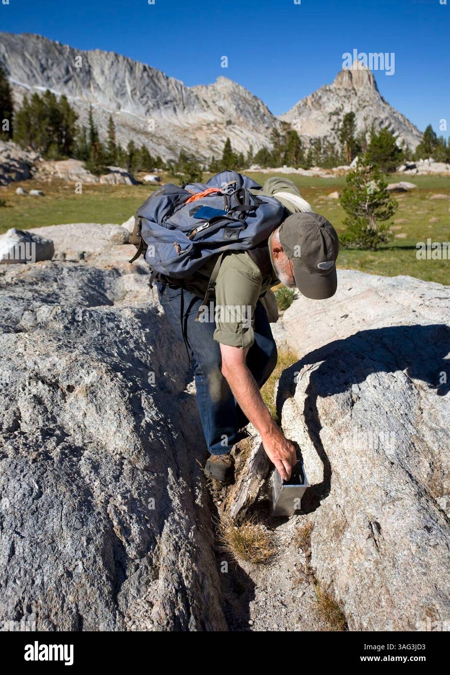 Aug 12, 2008 - Sacramento, California, United States - JIM PATTON picks ...