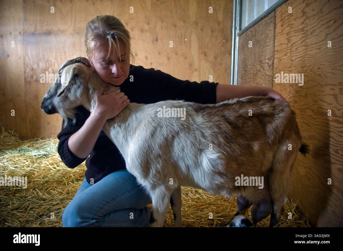 Grace Foundation member Katja Wendt-Dyssegard cradles a goat as its ...