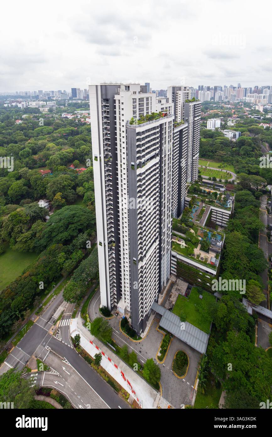 Vertical view of green trees garden on buildings. Towering height, high ...