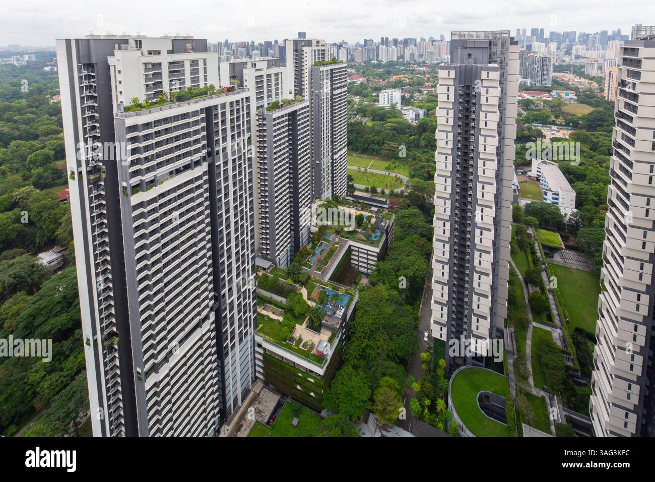 Green trees gardening on buildings roof top. High rise residential ...