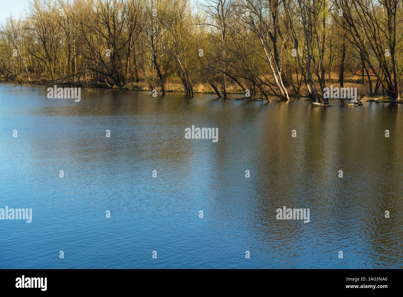 Warszawa, Port Praski, eastern banks of Vistula river. Wild landscape ...