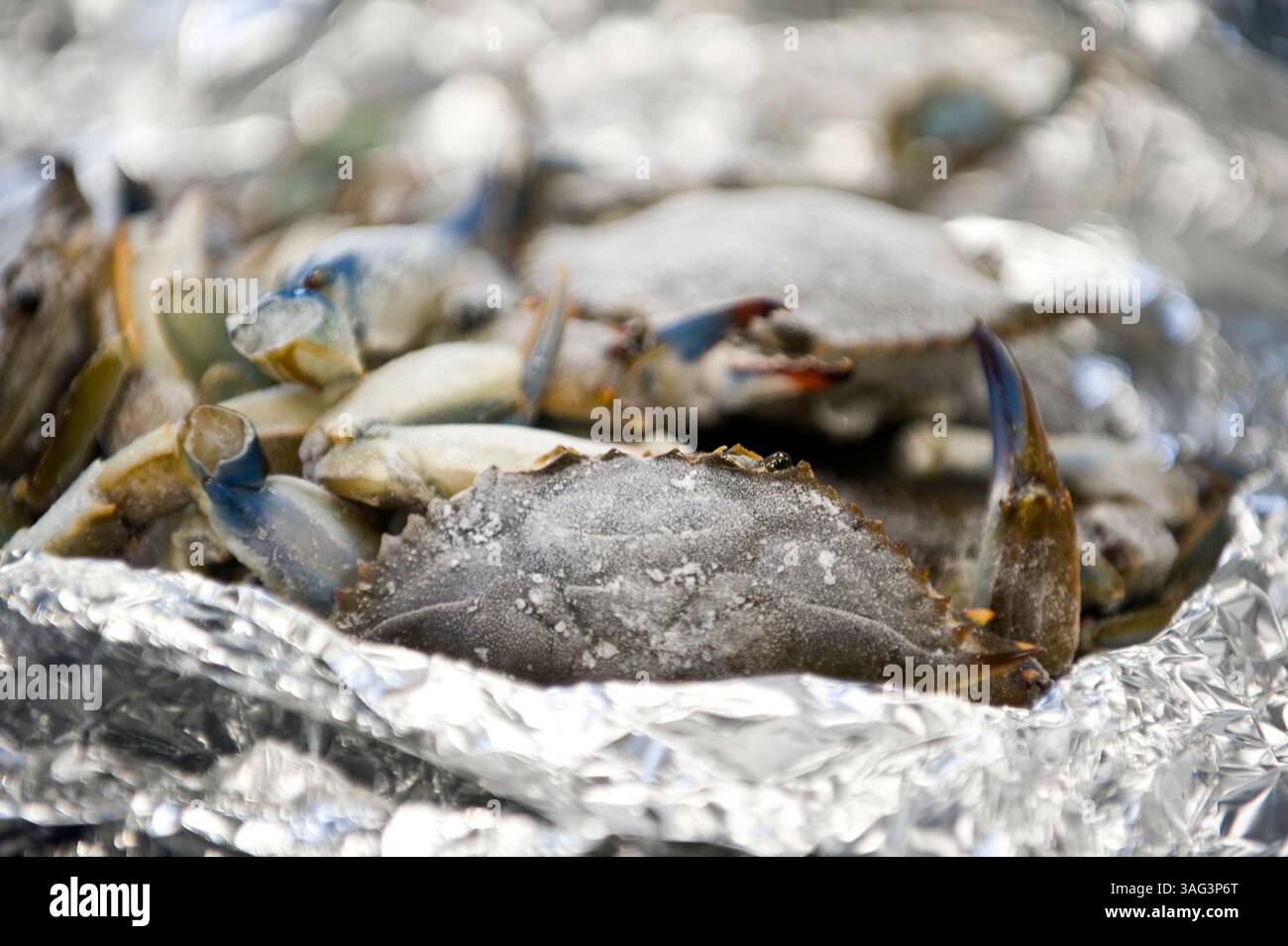 July 15, 2010 - Sacramento, USA - Blue crab photographed at the UC ...