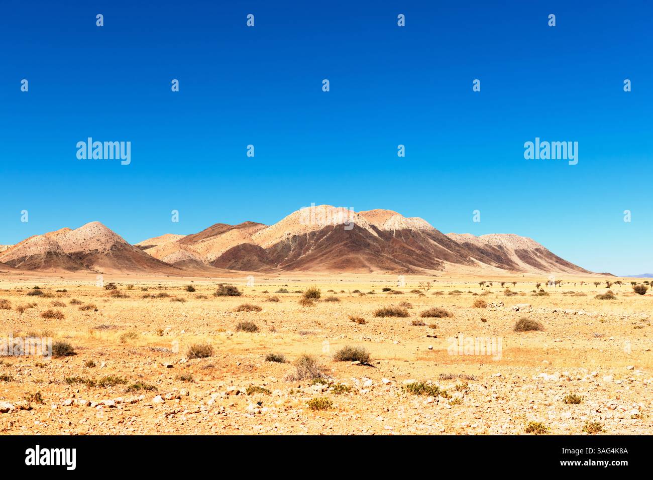 Typical lifeless landscape of Namibia, Africa. Sapless desert and ...