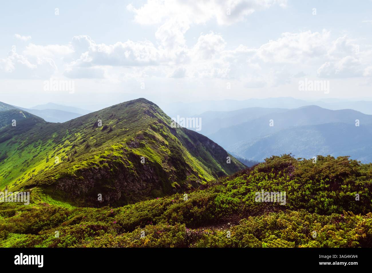 Summer mountain landscape with rolling green hills, glowing in soft ...