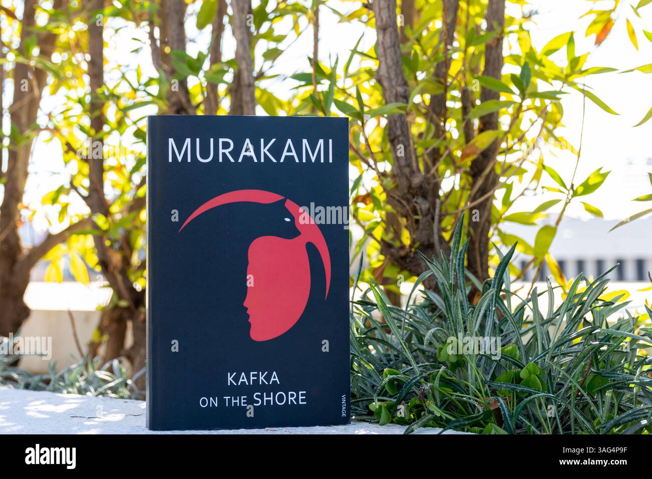 Japanese kafka hi-res stock photography and images - Alamy