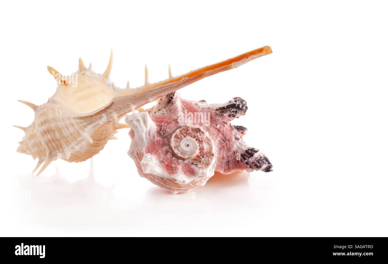 Exotic aquatic species Cut Out Stock Images & Pictures - Alamy