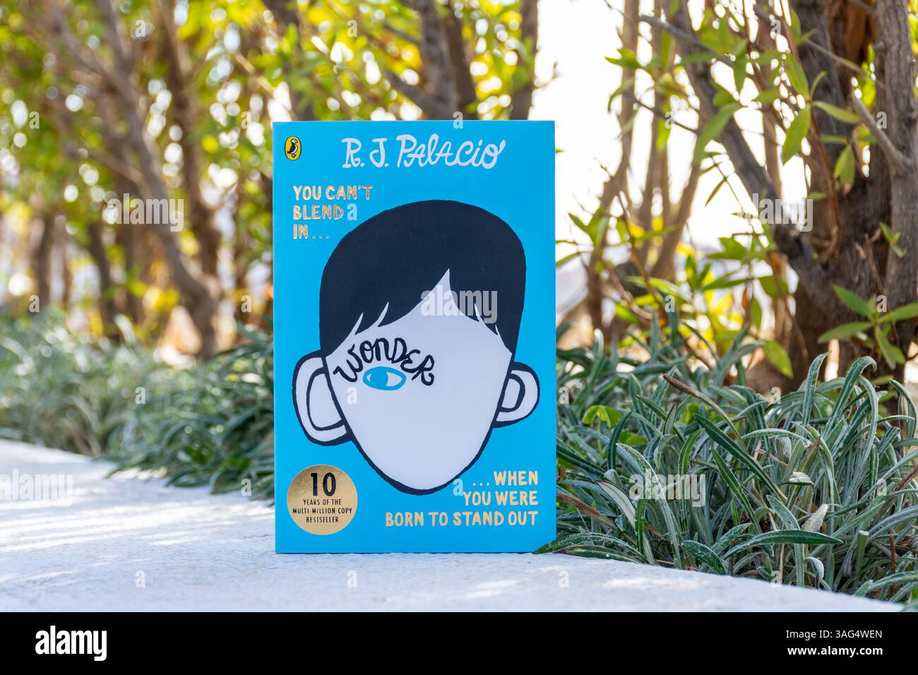 Wonder book cover hi-res stock photography and images - Alamy