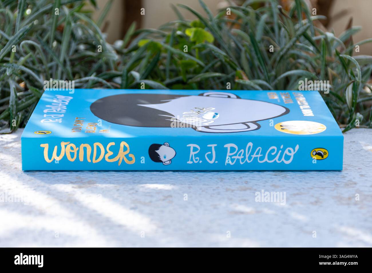 Wonder book cover hi-res stock photography and images - Alamy