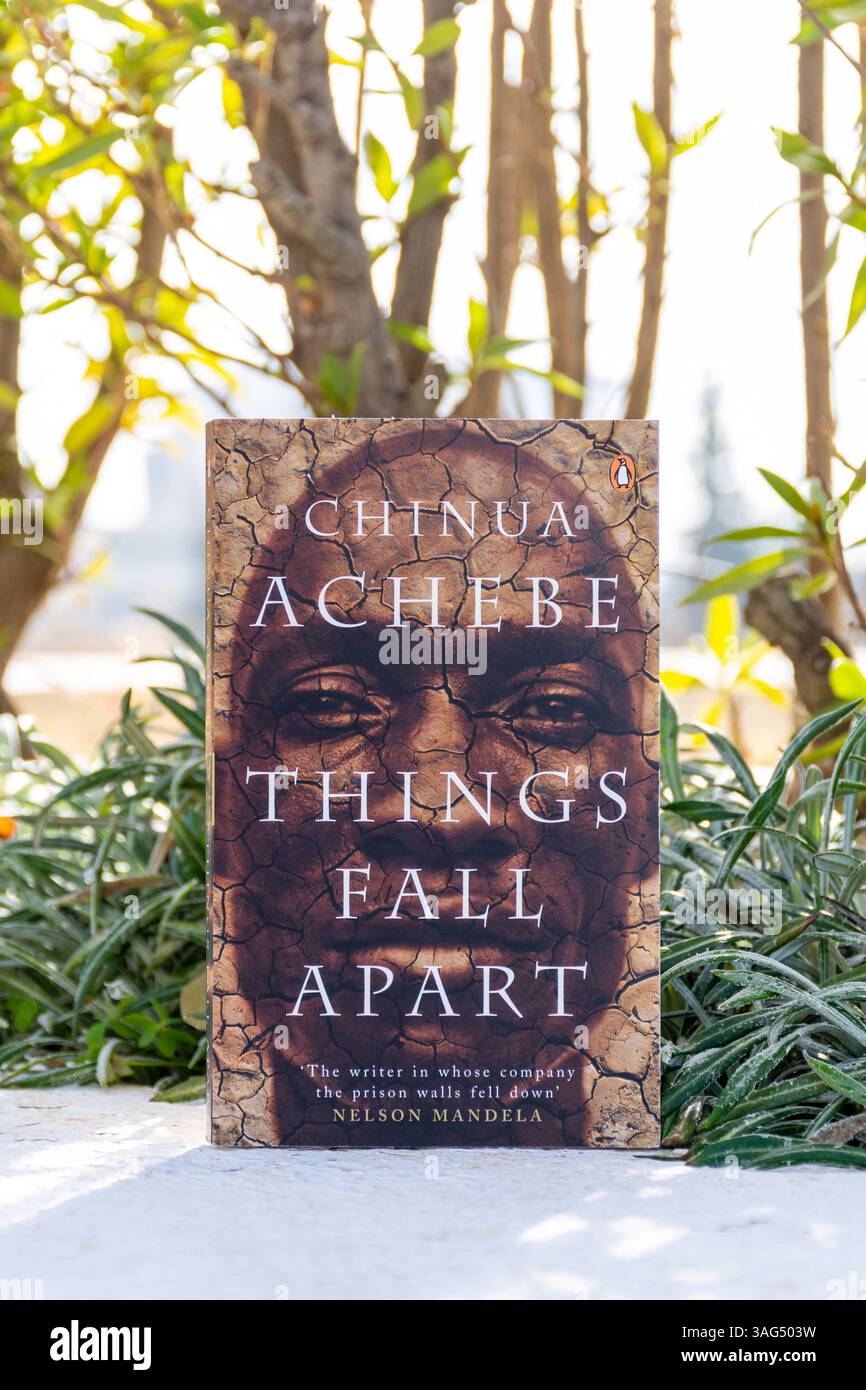 Close-up of Chinua Achebe's Things Fall Apart novel in the garden Stock ...
