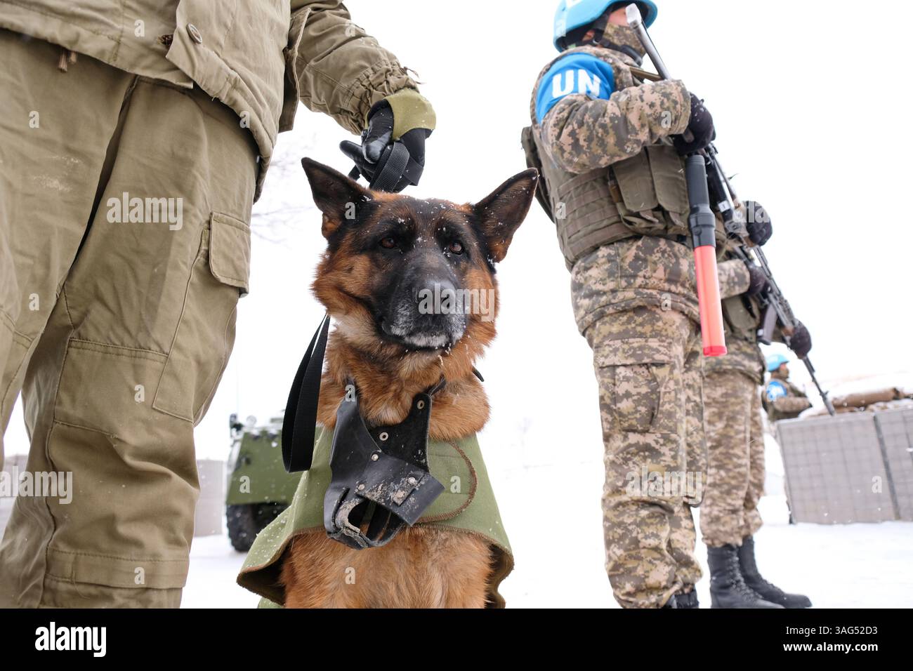 Training and special military exercises of the UN peacekeeping ...