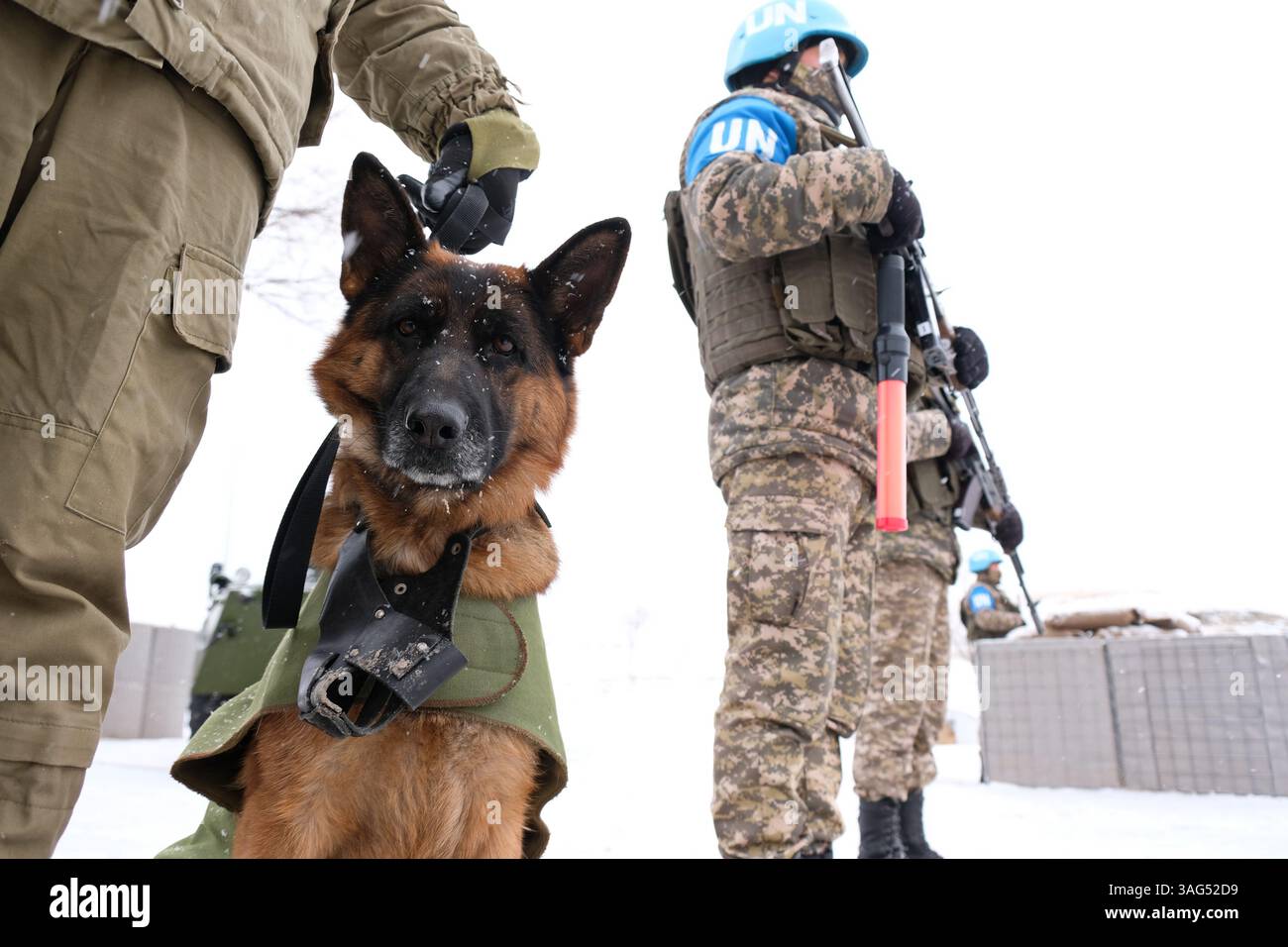 Training and special military exercises of the UN peacekeeping ...