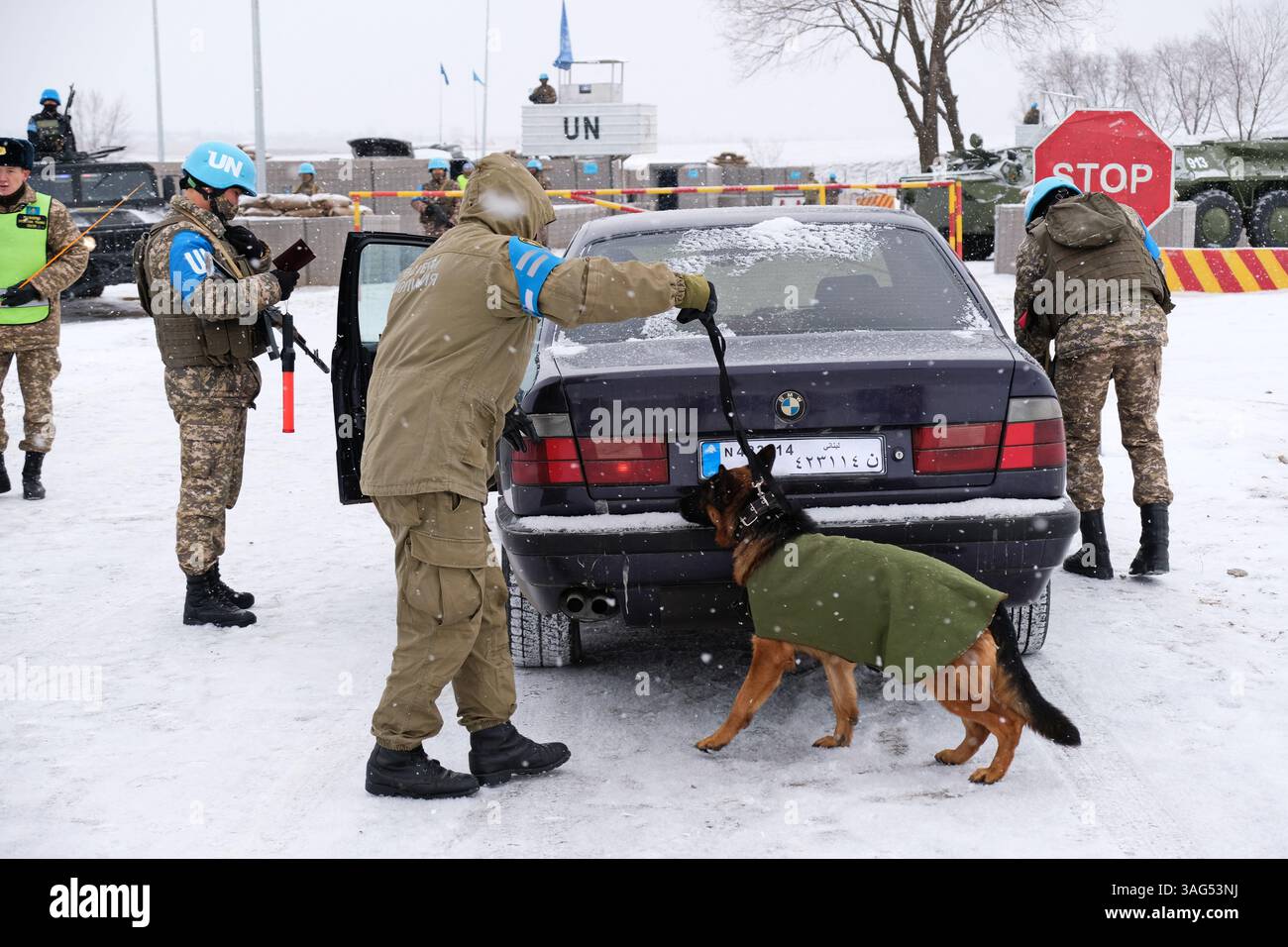 Training and special military exercises of the UN peacekeeping ...