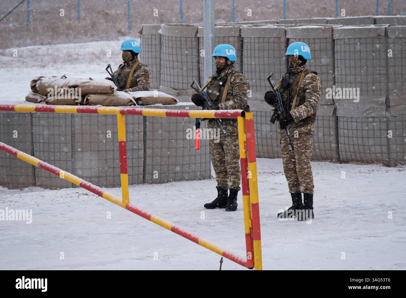 Training and special military exercises of the UN peacekeeping ...