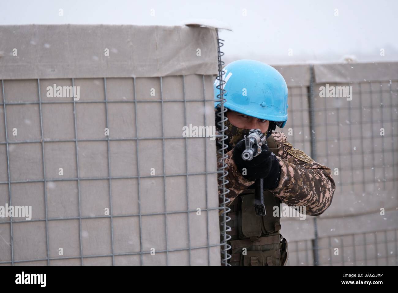 Training and special military exercises of the UN peacekeeping ...