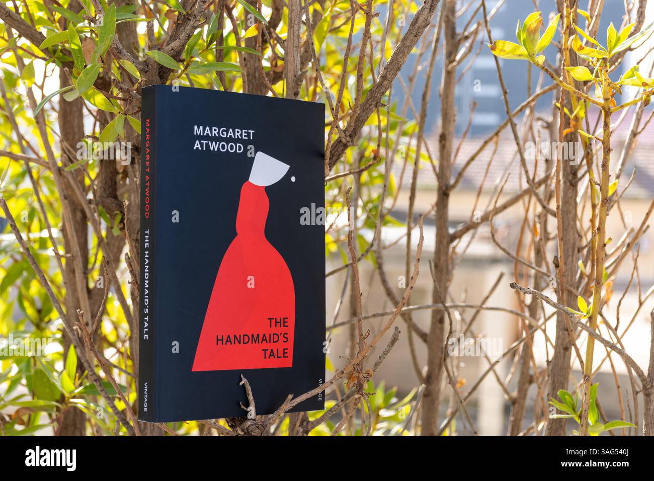 The handmaid's tale book cover hi-res stock photography and images - Alamy