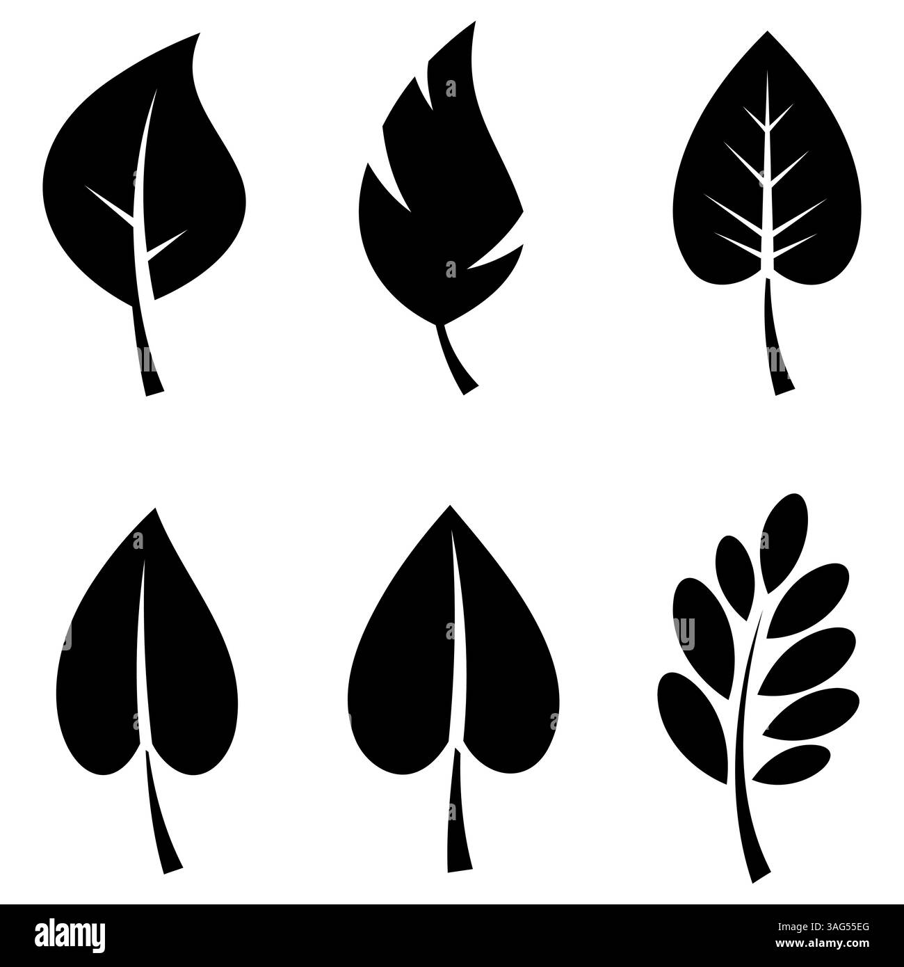 Leaf icon. Black leaf icons isolated on white background. Vector ...