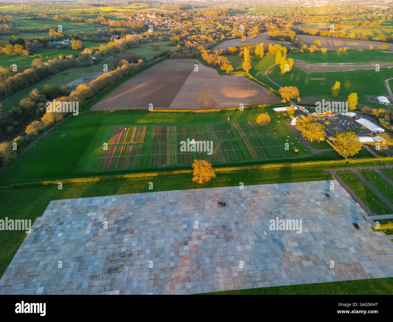 Tulleys Tulip Garden at Hatton Adventure World Stock Photo - Alamy