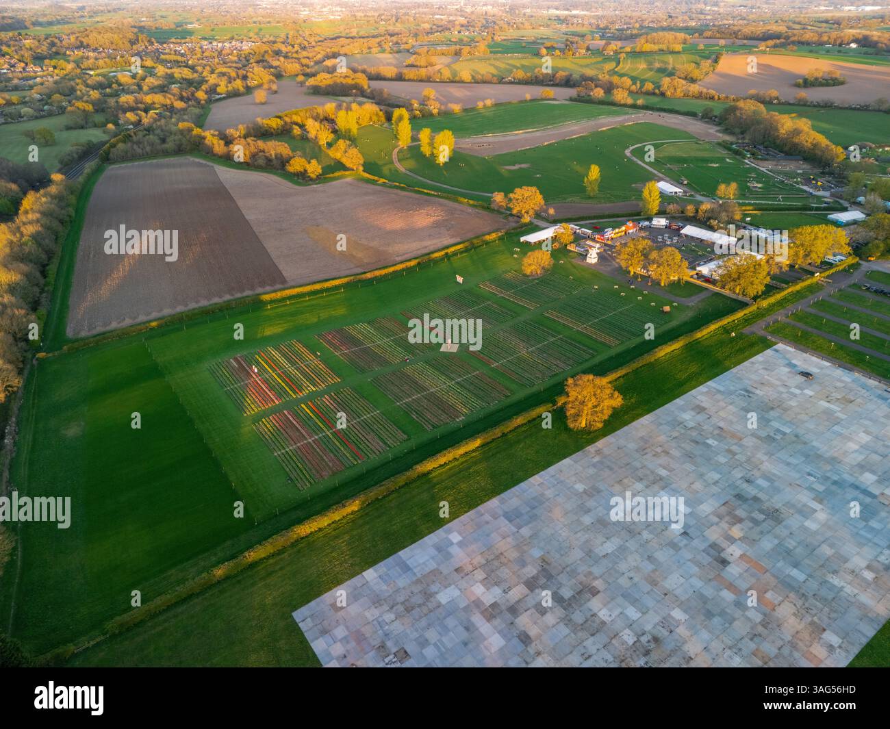 Tulleys Tulip Garden at Hatton Adventure World Stock Photo - Alamy