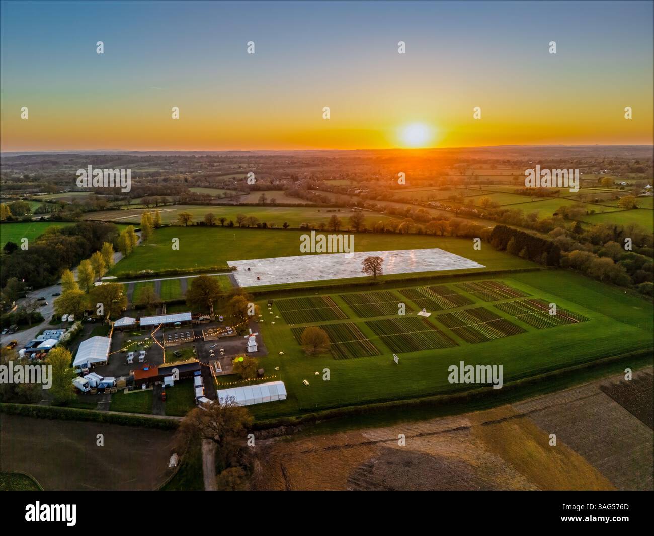 Tulleys Tulip Garden at Hatton Adventure World Stock Photo - Alamy