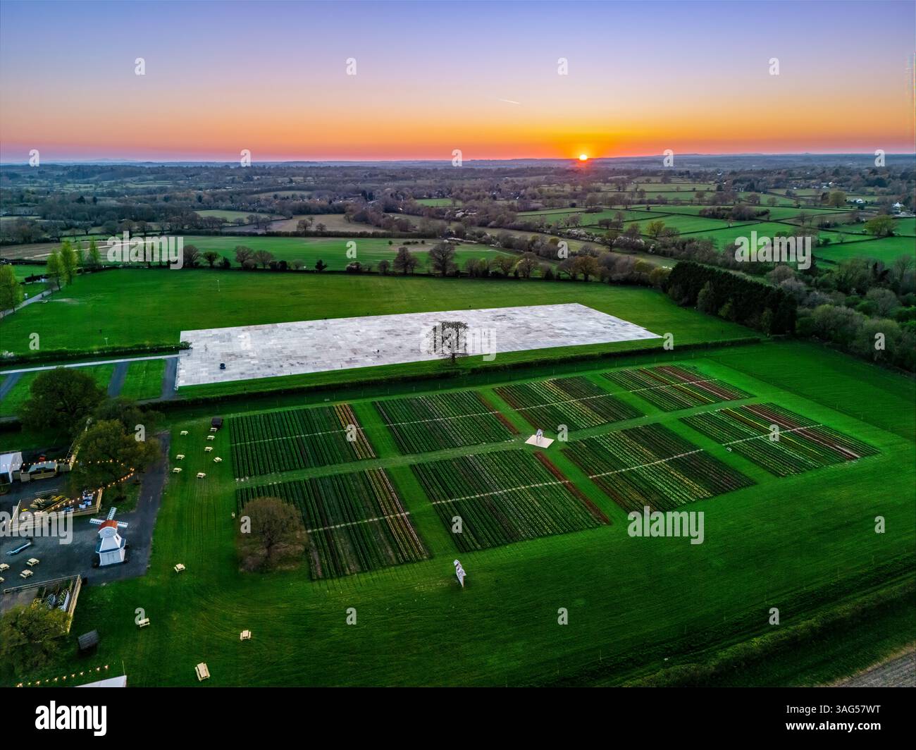 Tulleys Tulip Garden at Hatton Adventure World Stock Photo - Alamy