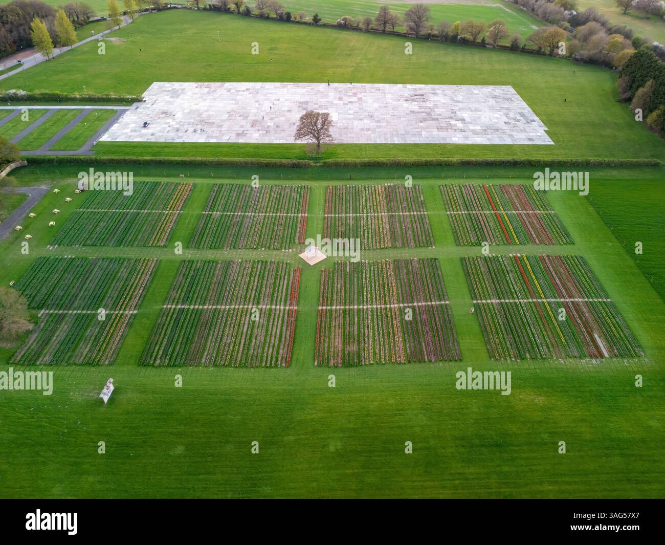Tulleys Tulip Garden at Hatton Adventure World Stock Photo - Alamy